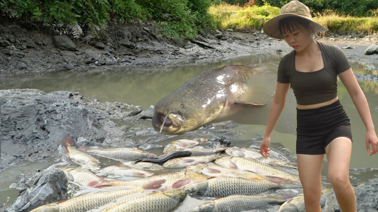 Big Fish, Big Thrills: Catching Giants with Ultimate Fishing Gear - YouTube