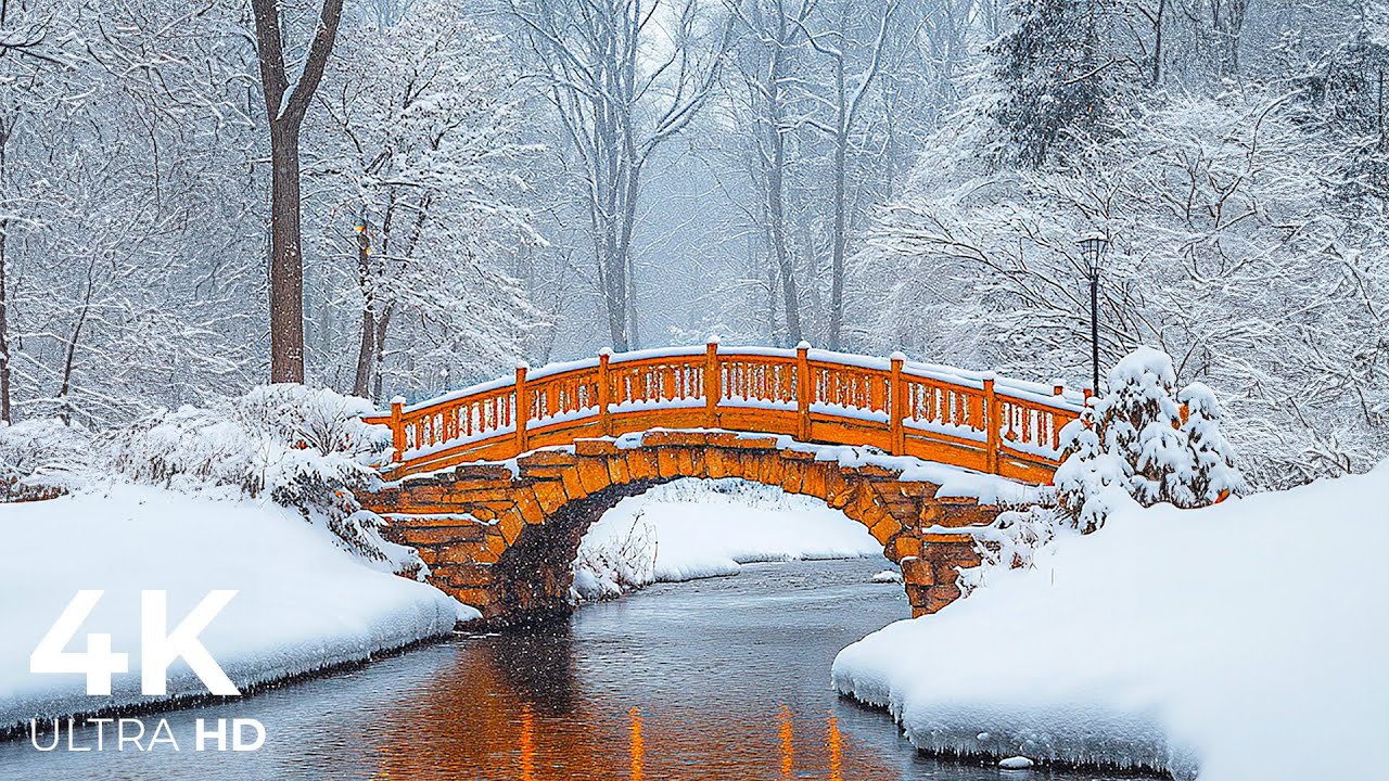 Stress Relief with Calming Music ️ Cozy Winter Vibes, Enchanting Winter ...