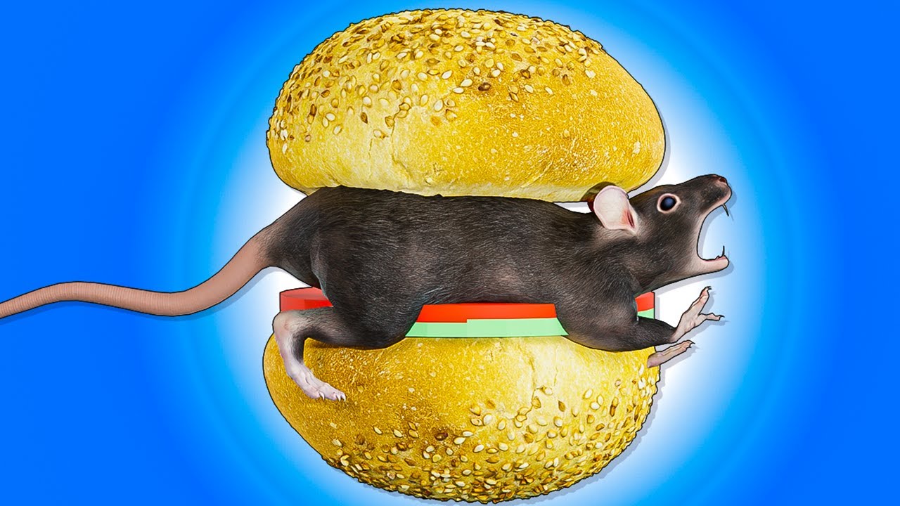 This restaurant literally serves the plague in One-Armed Cook - YouTube