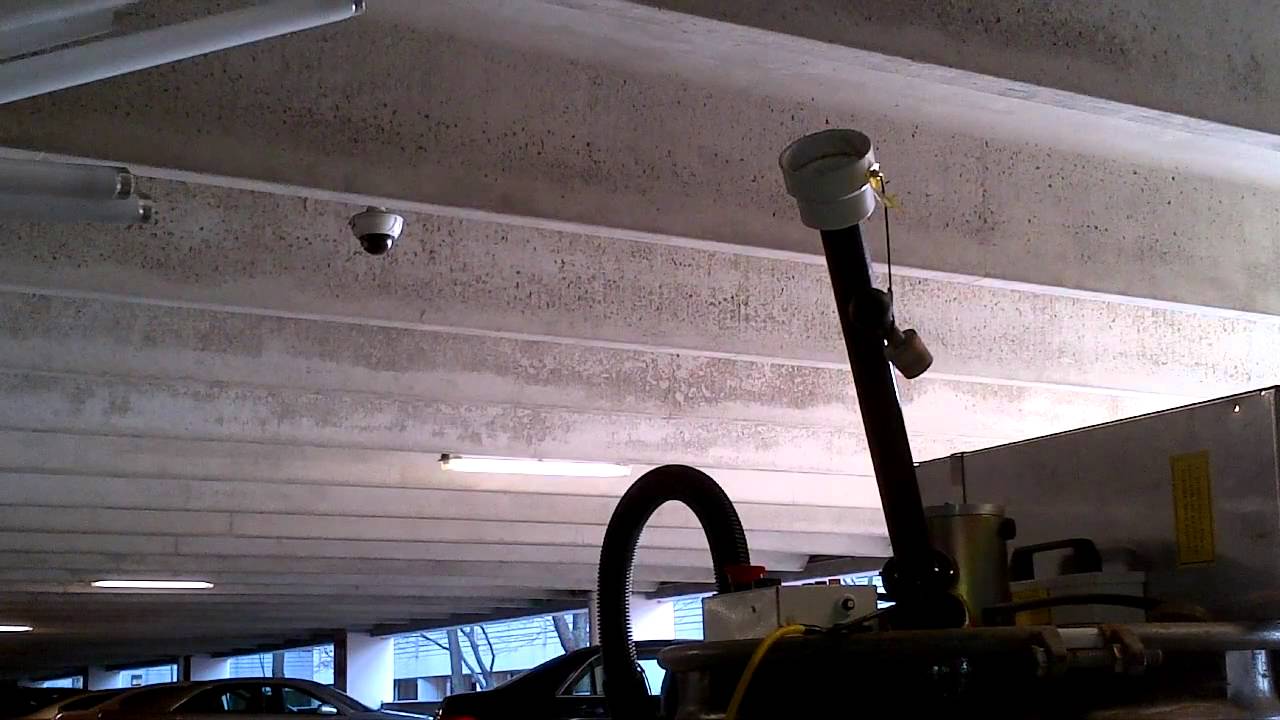 bulb eater - YouTube