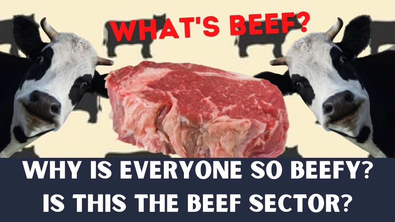 Is This The Beef Sector? | Why Is Everyone Beefing? | YouTube Beef ...