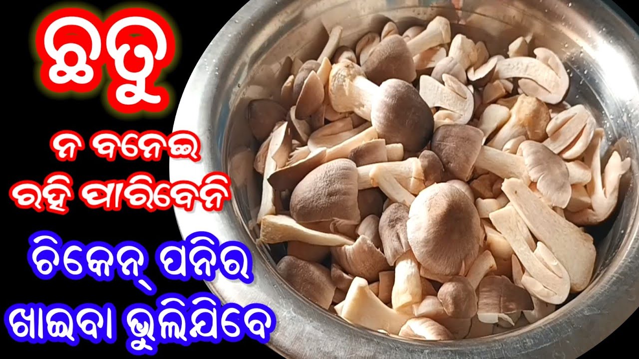 ଛତୁ କୁ ଏମିତି ରାନ୍ଧିଲେ ଚିକେନ ପନିର କୁ ବି ଆଡ଼େଇ ଦେବେ ‼️ Chhatu Tarkari ...
