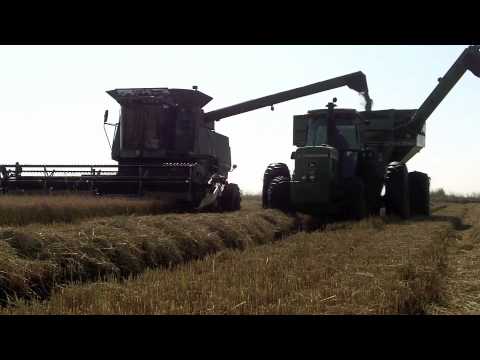 Final rice fields being harvested in Yolo County - YouTube