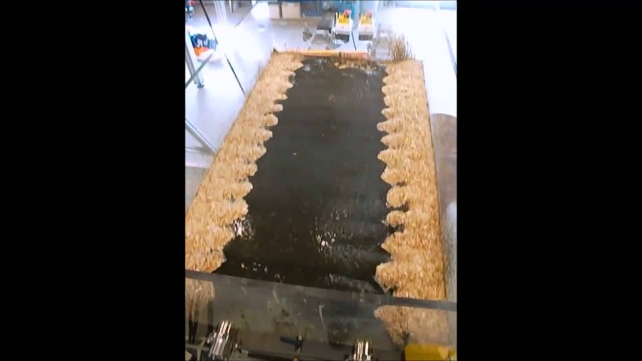 EFFIGEST Project Digester Simulation horizontal agitator Biogas chicken ...