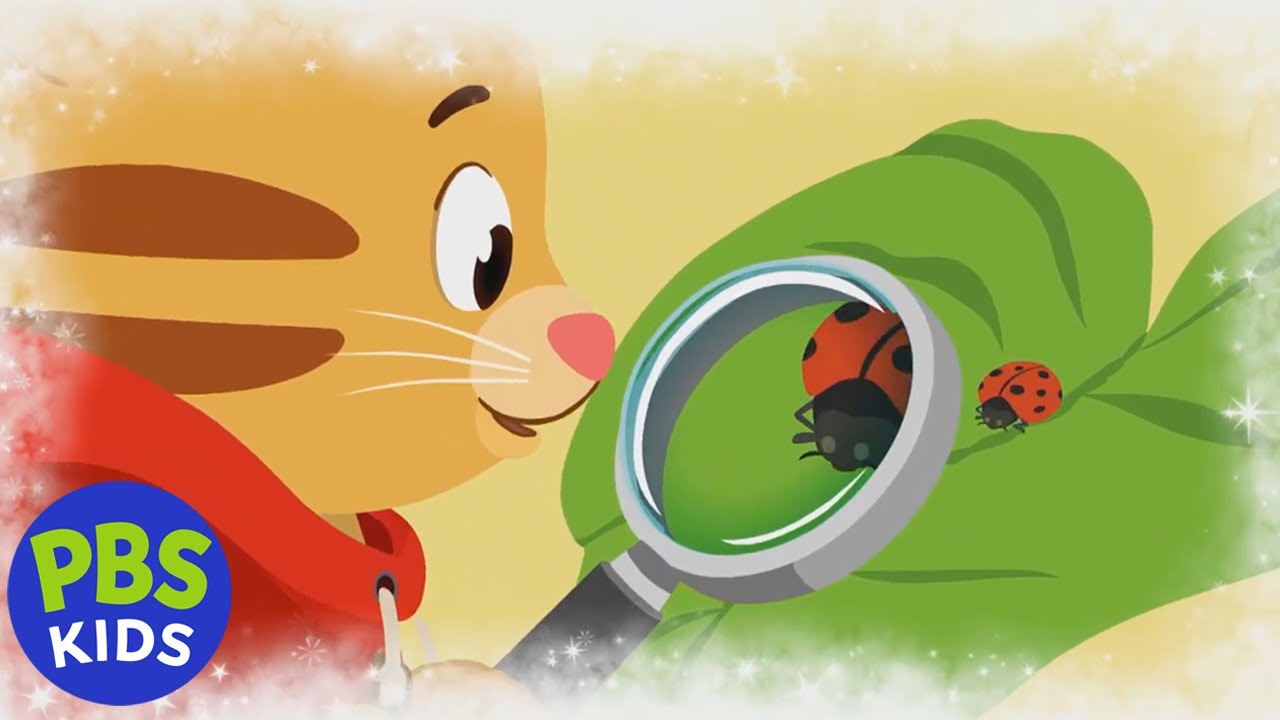 Daniel Tiger's Neighborhood | Look Closely Song | PBS KIDS - YouTube
