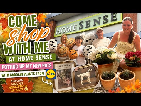 🍂 AUTUMN Has Hit HomeSense… In JULY! 😮 | New Pots & Planting Up Bargain Lidl Flowers