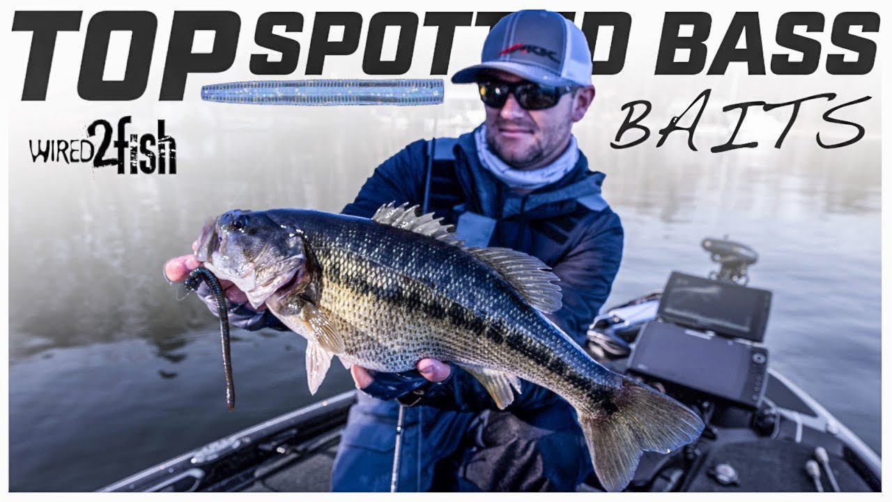 Best Lures for Spotted Bass | Logan's Top 3 - YouTube