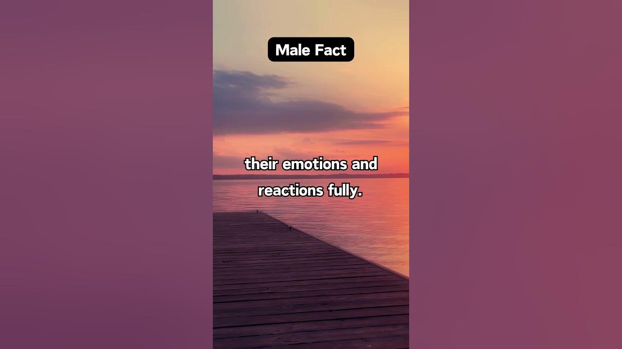 Decoding Male Behavior: Unveiling Masculine Mysteries - YouTube