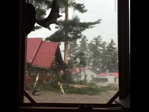 Lightning Makes Tree Explode - YouTube