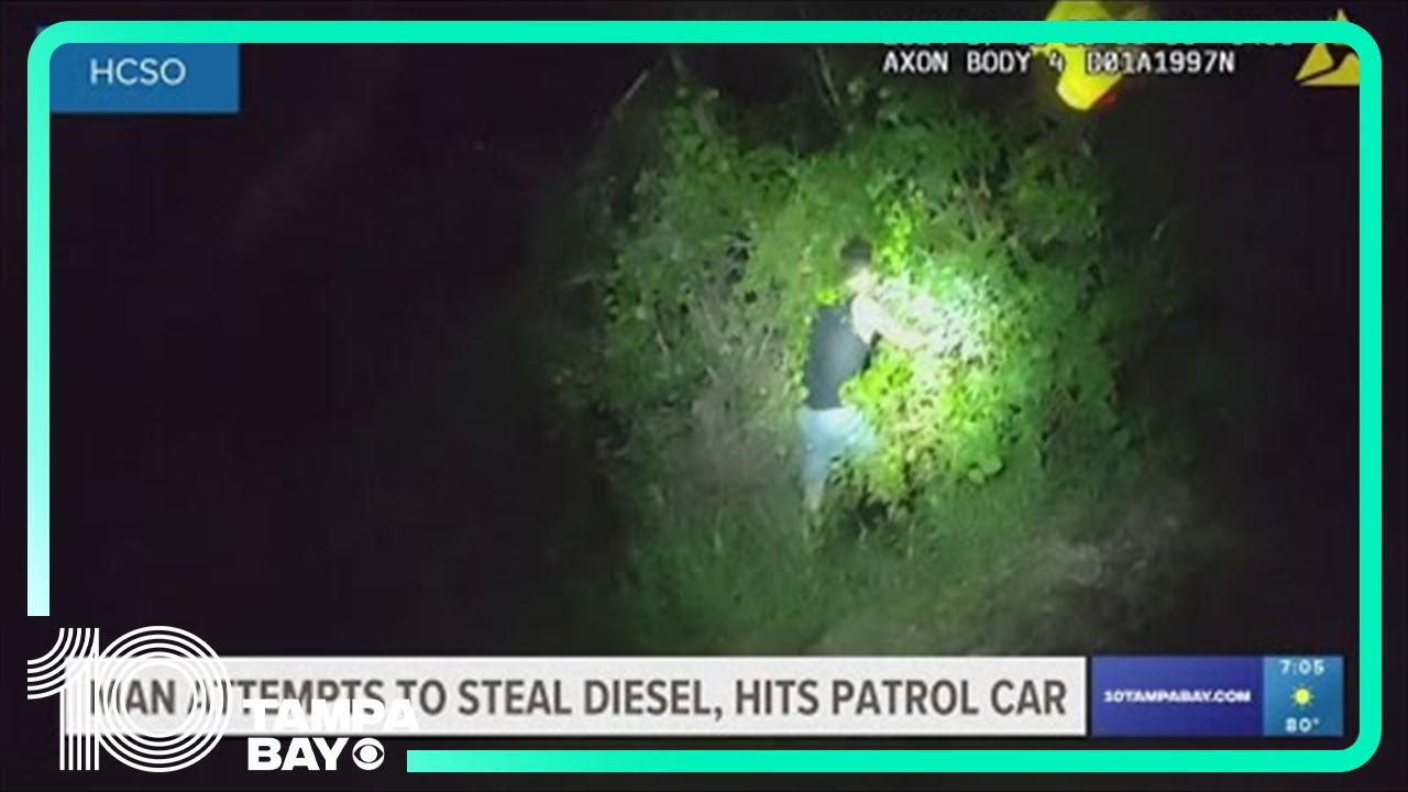 Man arrested for stealing 93 gallons of diesel fuel, striking deputy's ...