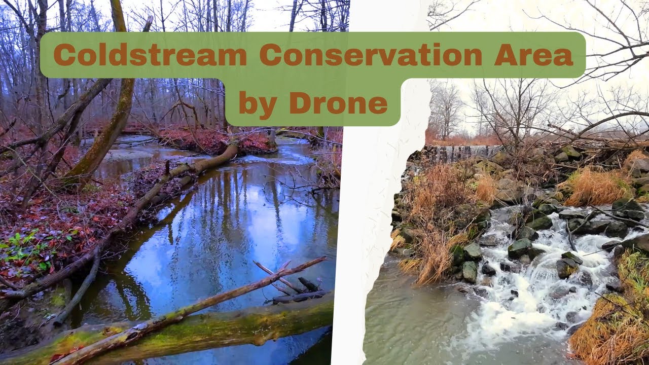 Explore Coldstream Conservation Area by DJI Avata Drone #solohike - YouTube