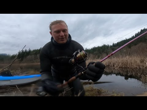 Diving for a lost fishing rod! - YouTube