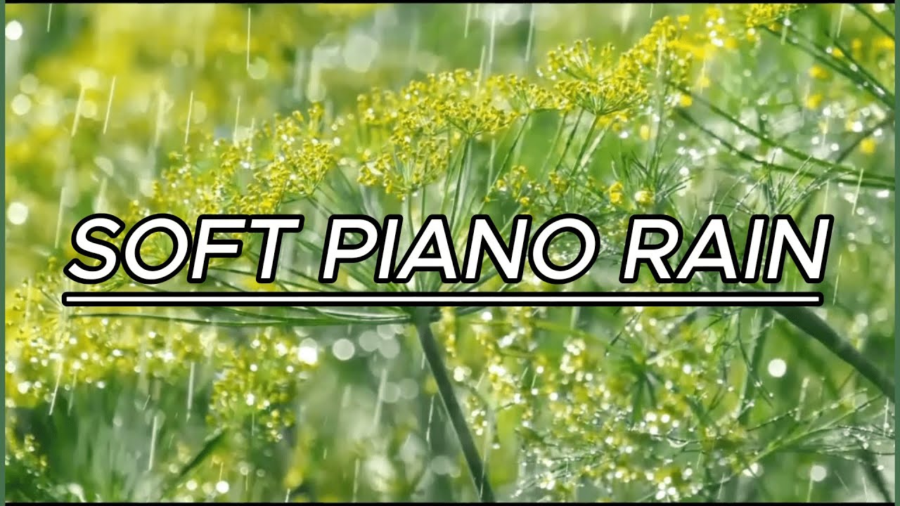 Soft Piano Rain ☔ | Relaxing Music ( Musik Tidur & Meditasi Alam ...