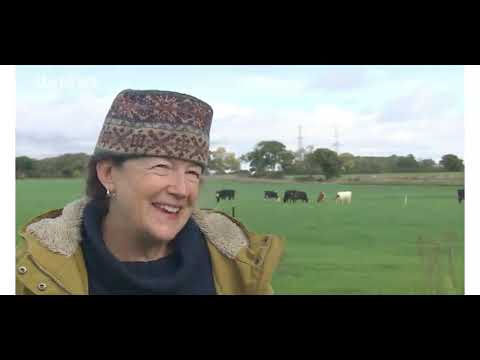 ITV Anglia News Fiona Gilmore Interview - YouTube