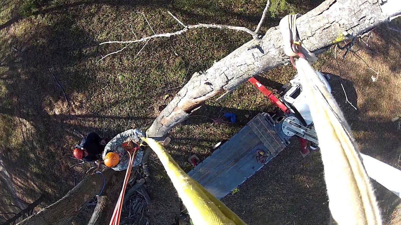 advanced rigging and tree removal training - YouTube