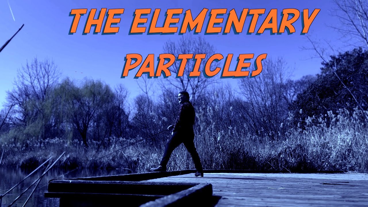 THE ELEMENTARY PARTICLES - YouTube