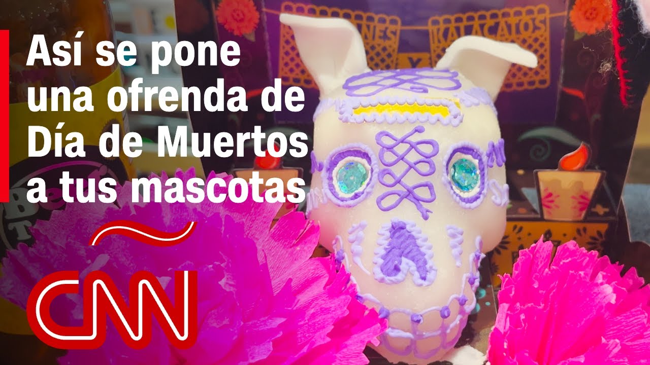 Ofrenda de Día de Muertos para tus mascotas difuntas: ¿cómo poner un ...