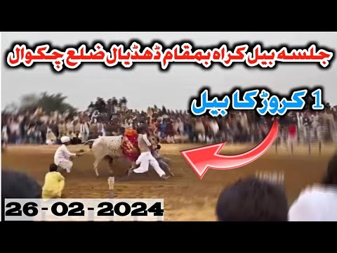 Jalsa Bail Karah Dhudial District Chakwal | Chakwal ki Saqafat | Bull ...