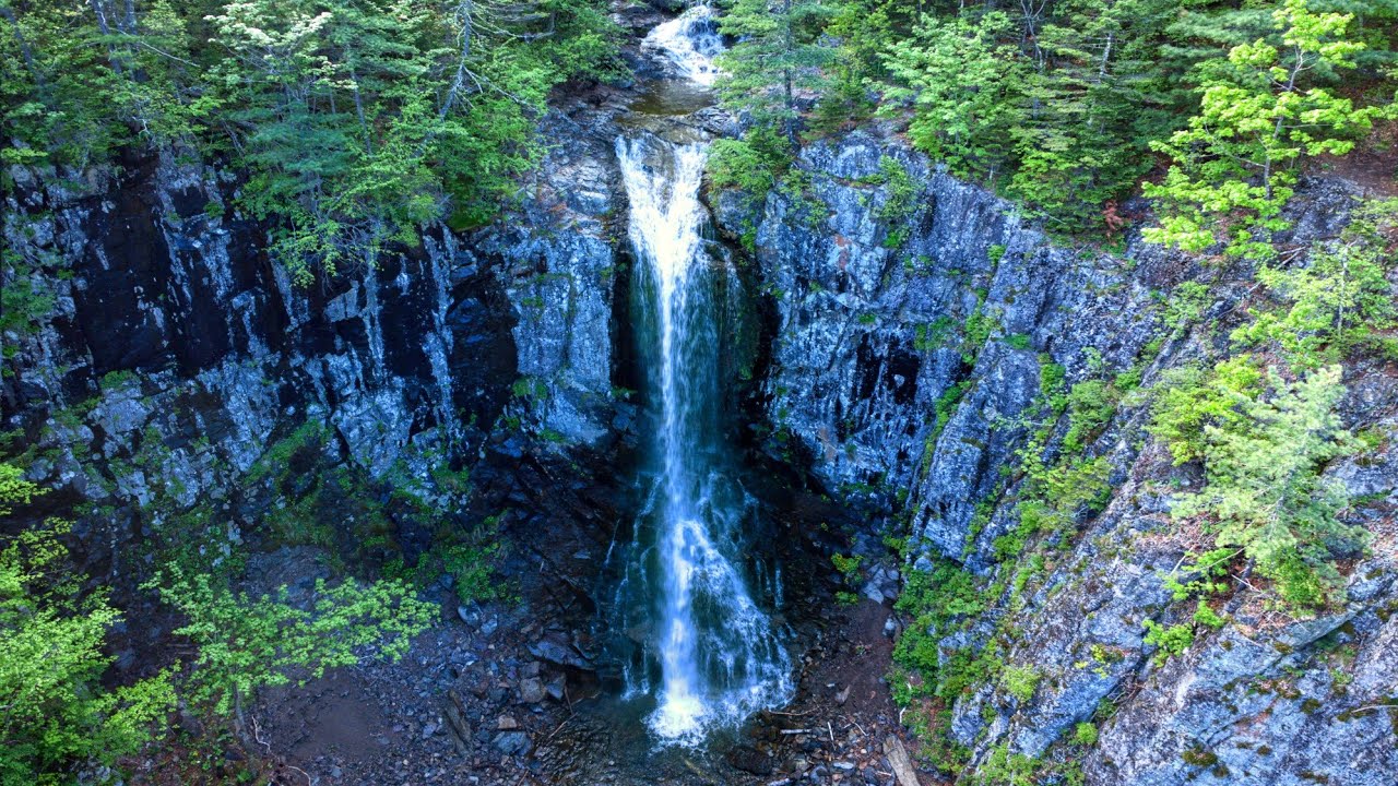 BREATHTAKING COLORS OF NATURE IN 4K 60fps HDR (ULTRA HD) BEAUTIFUL ...