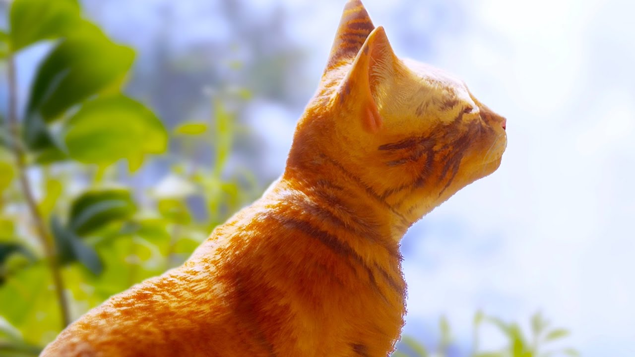 ENDING | Stray - Part 3 (END) - YouTube