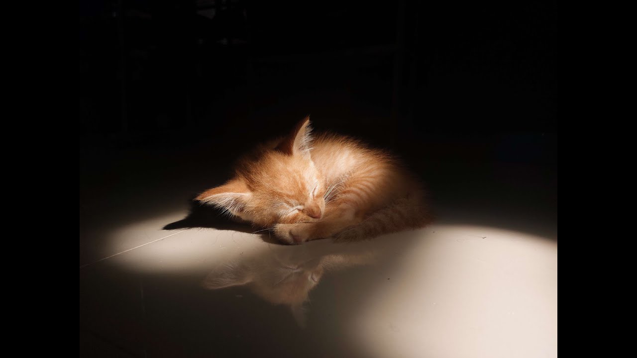 [ID/EN] GRAND CHASE CLASSIC, PREPARING LIRE FOR AWAKENING - YouTube