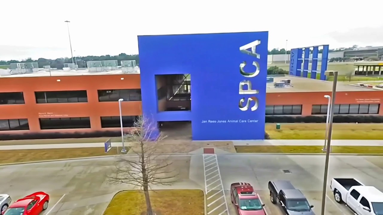 The SPCA of Texas is now a certified Service Enterprise - YouTube
