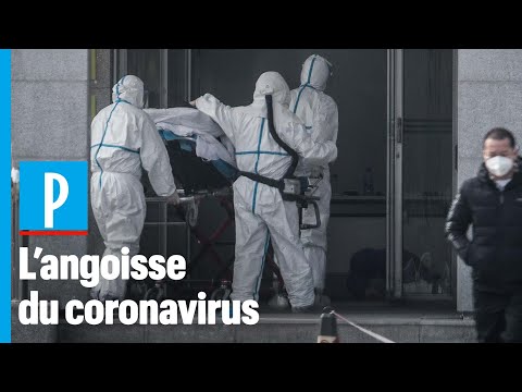 Un mystérieux virus né sur un marché inquiète la Chine