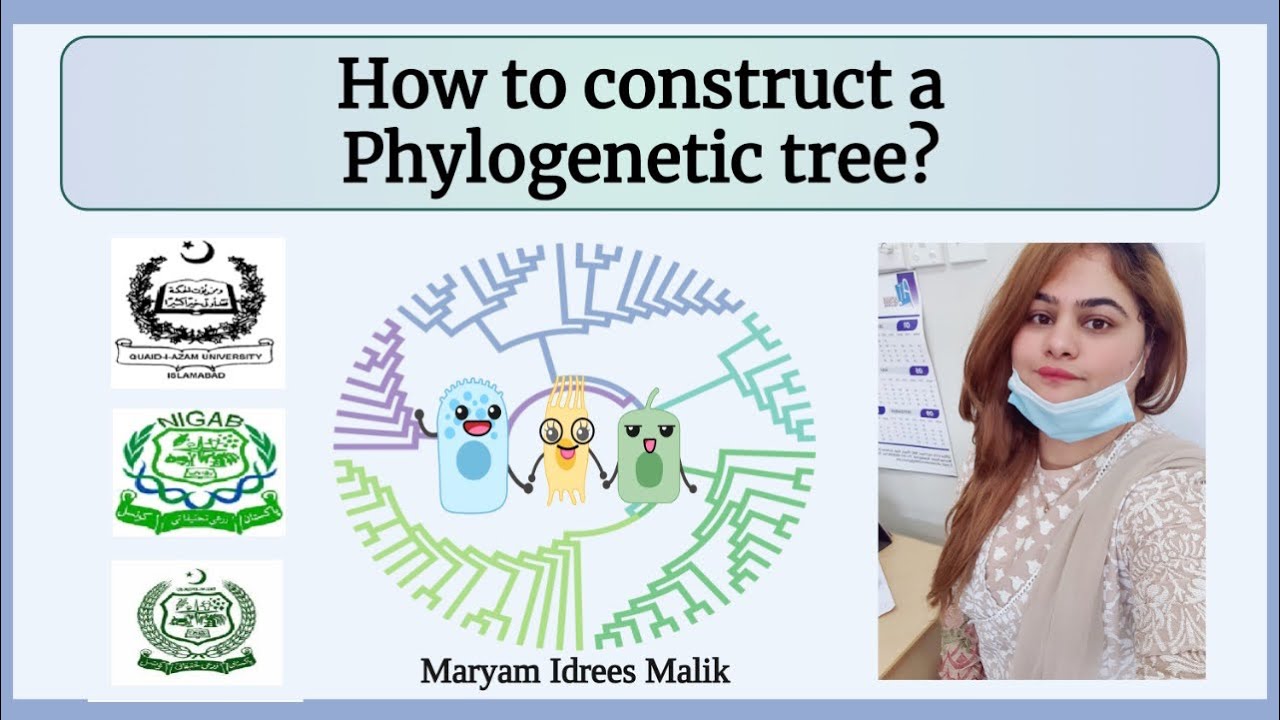 How to Construct a Phylogenetic Tree? - YouTube