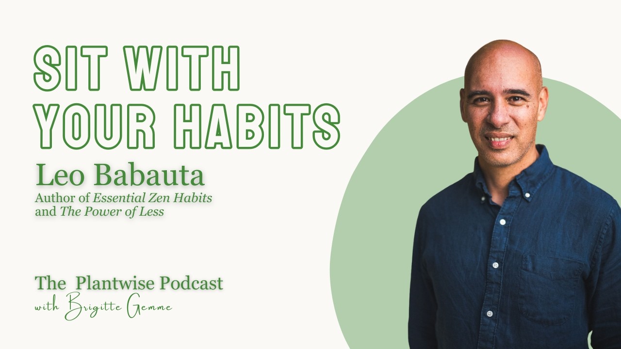 Leo Babauta on the EMOTIONS behind our HABITS 💚 Plantwise Podcast - YouTube