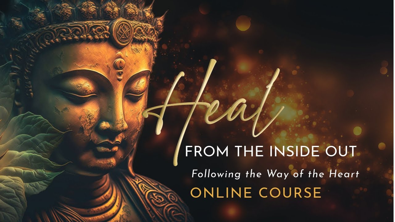 Introduction to Heal from the Inside Out Online Program - YouTube