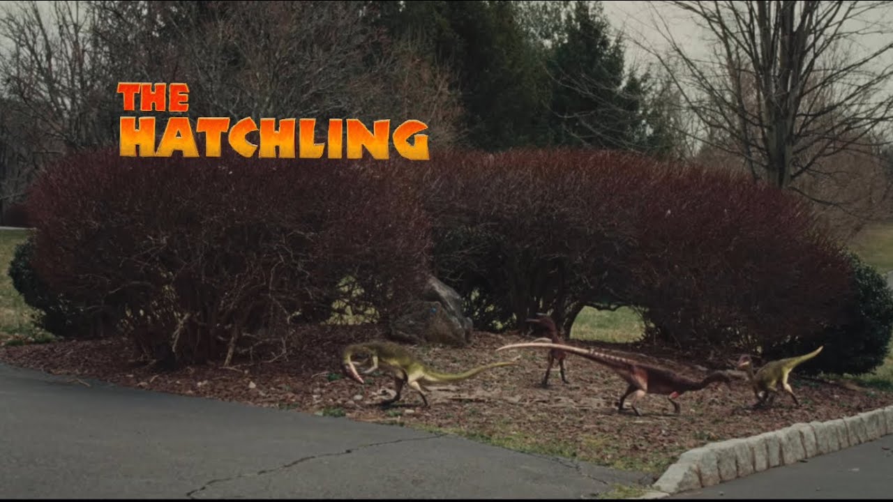 The Hatchling - Compsognathus Screen Time - YouTube