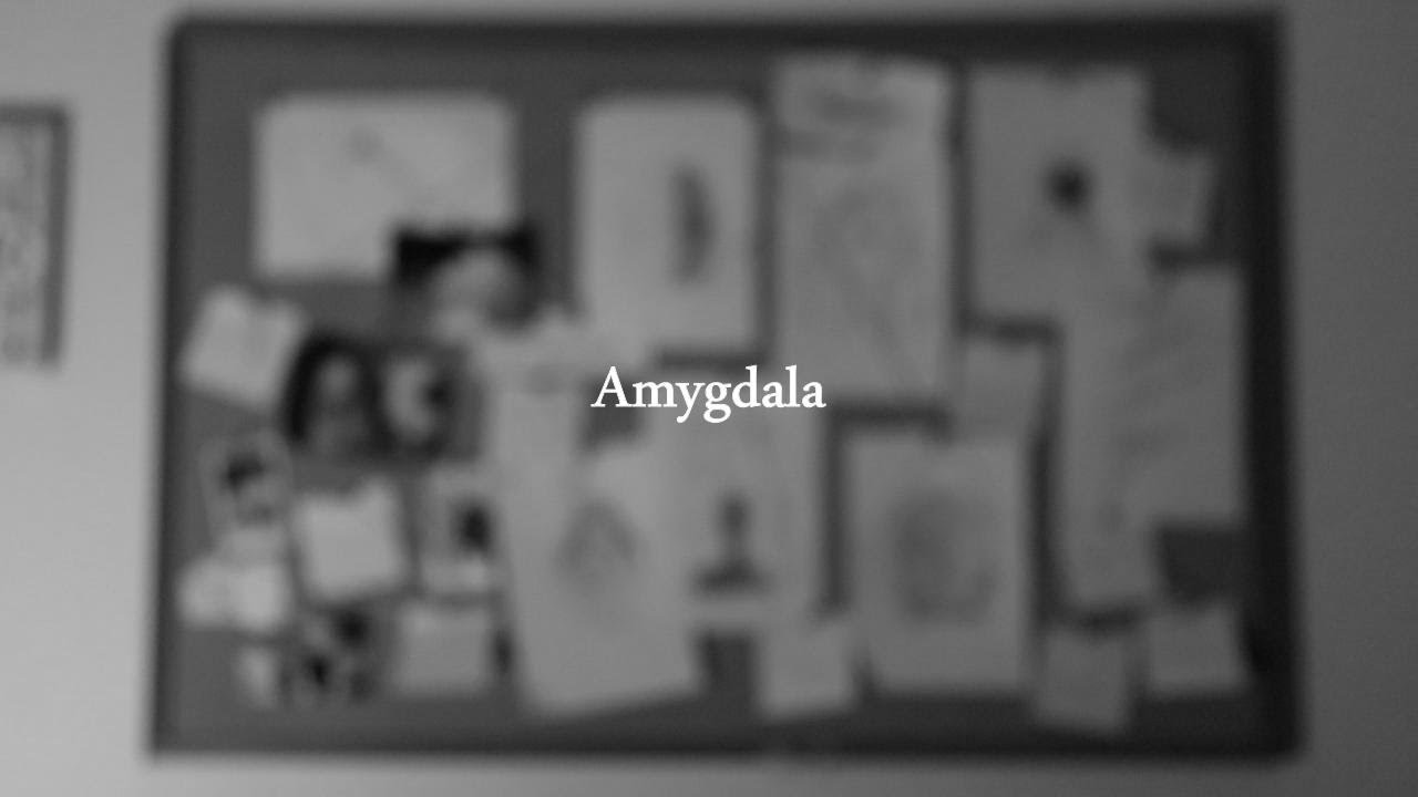 Amygdala | Short Film - YouTube