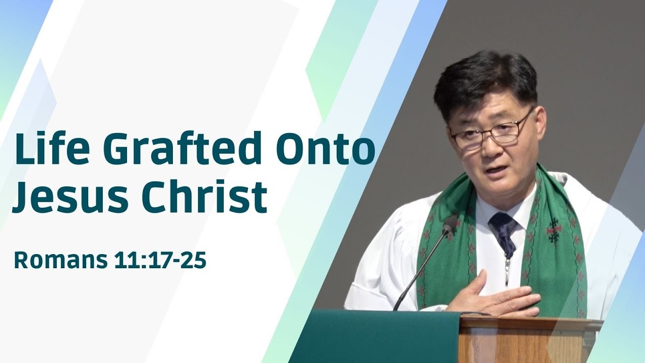 “Life Grafted Onto Jesus Christ” Romans 11:17-25 - YouTube