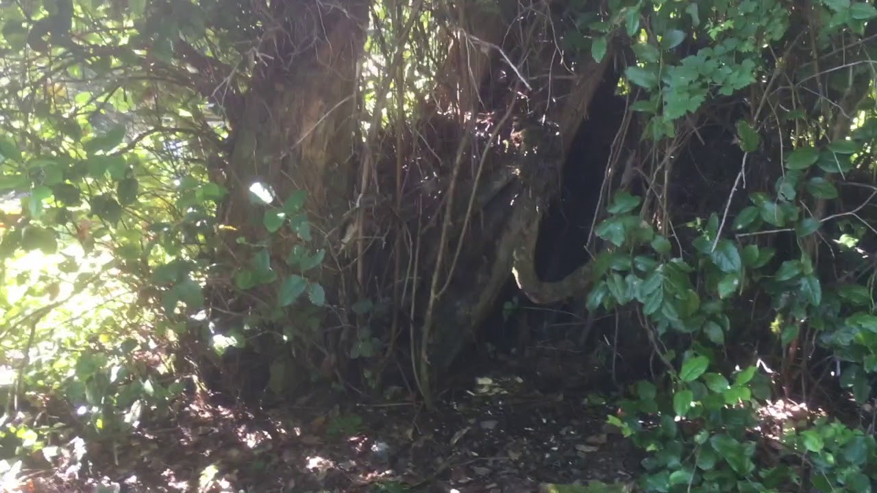 Bere Point Campground - Site 2 - YouTube