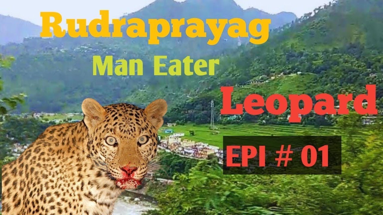Rudraprayag man eater Leopard, Jim corbett hunting story,, रुद्रप्रयाग ...