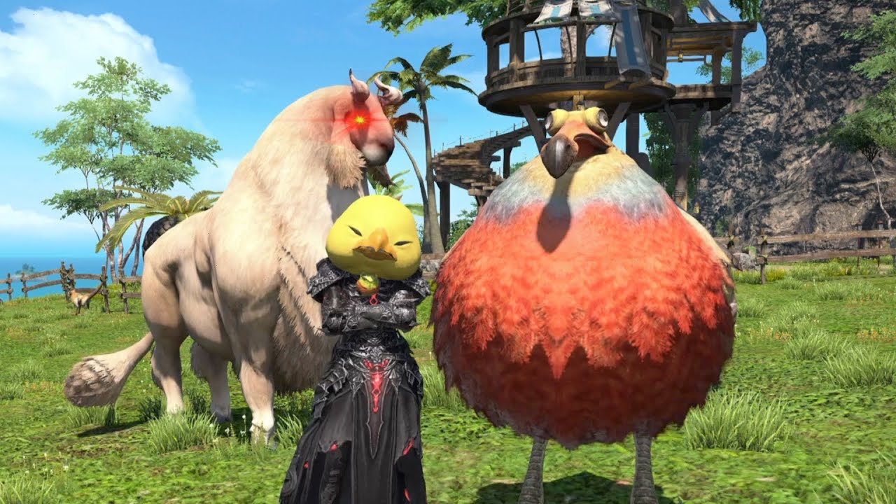 [FFXIV] Island Sanctuary: Dodo of Paradise #ffxiv #islandsanctuary ...