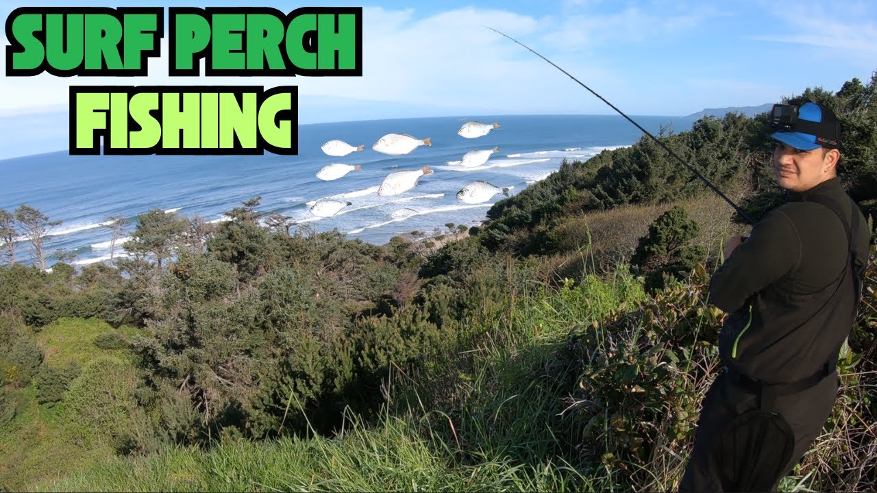 Surf Perch Fishing on the Oregon Coast (Newport) I We found Schools of ...
