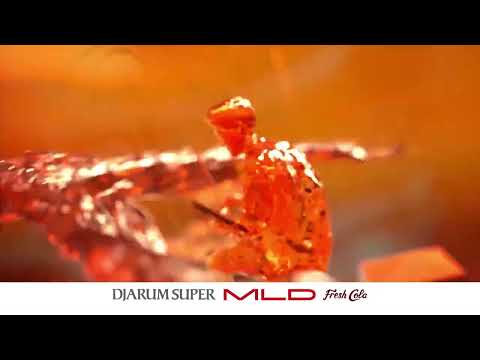 NEW! Djarum Super MLD Fresh Cola TVC (2023-24) - YouTube