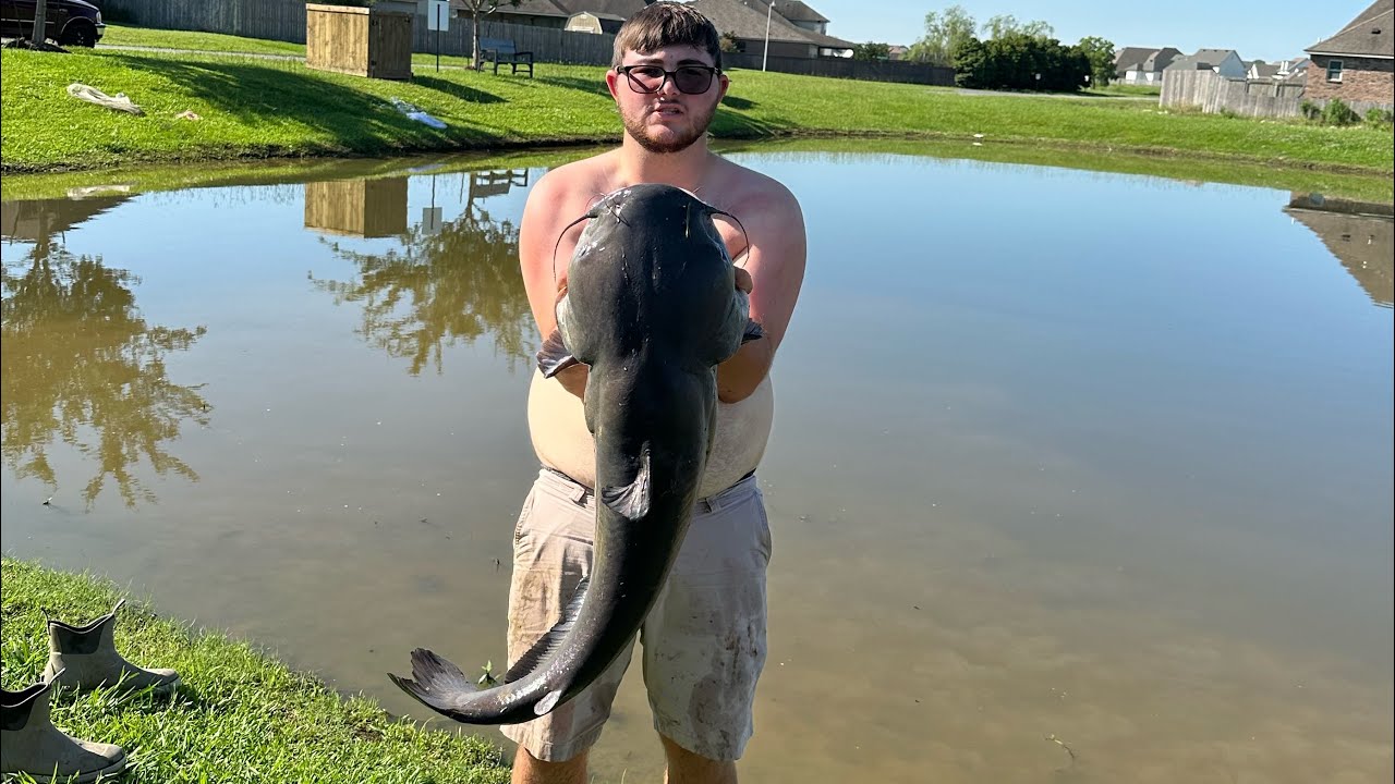 Catching Giant Channel Catfish in Tiny Subdivision Pond - YouTube