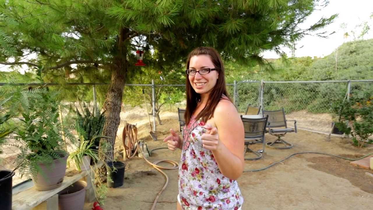 Censor Chip - Trailer - YouTube