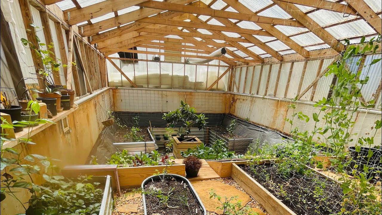 In ground pool turned into greenhouse.(Spring 2023 walk through) - YouTube