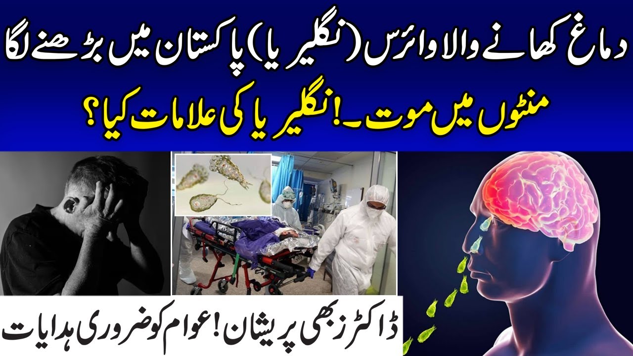 Pakistan Man Dies From 'Brain-eating Amoeba' - YouTube