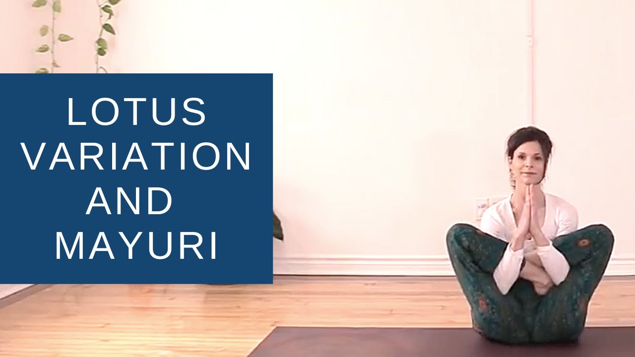 Lotus Variation & Mayuri - YouTube