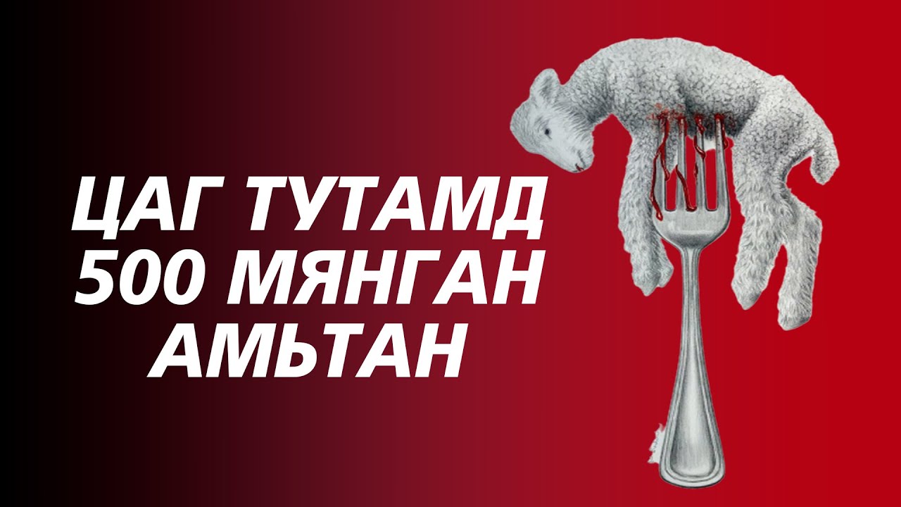 БҮХ ХҮМҮҮС ЦАГААН ХООЛТОН БОЛВОЛ Youtube