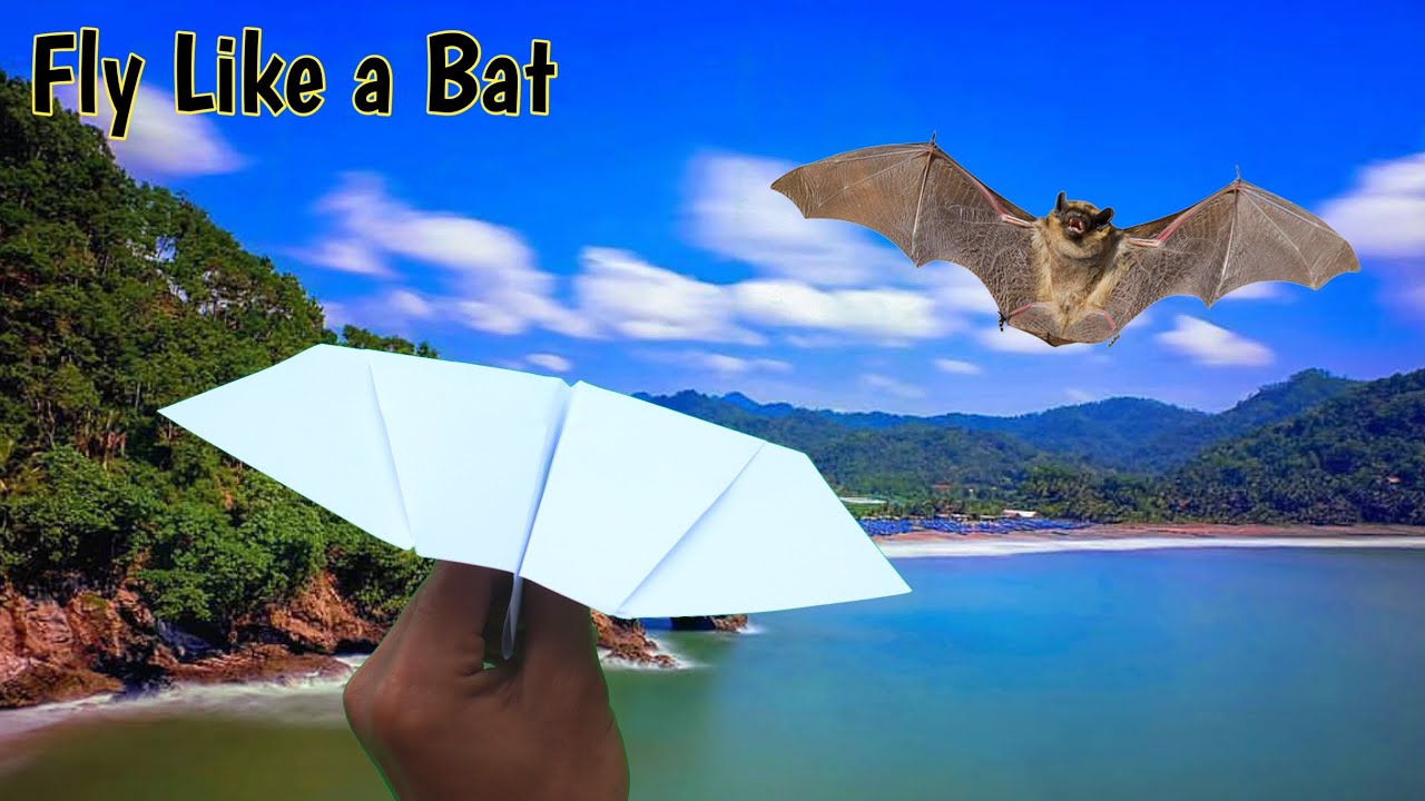 New Bat - How to Make a Paper Bat Plane, Fly Like a Bat, Origami Bat ...
