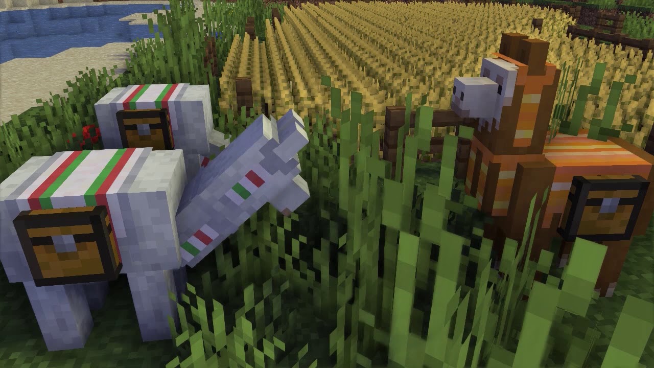 Everything You Need To Know About Llamas In Minecraft