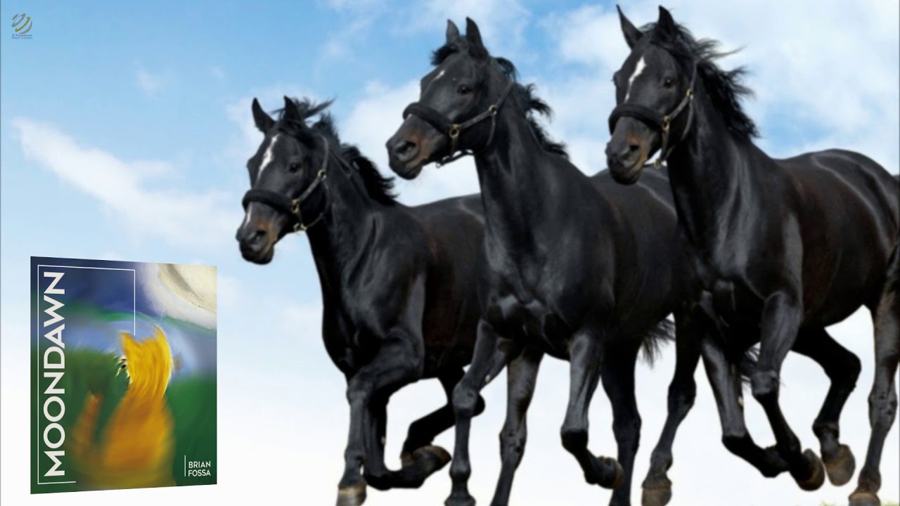 Brian Fossa - Black Horses - YouTube