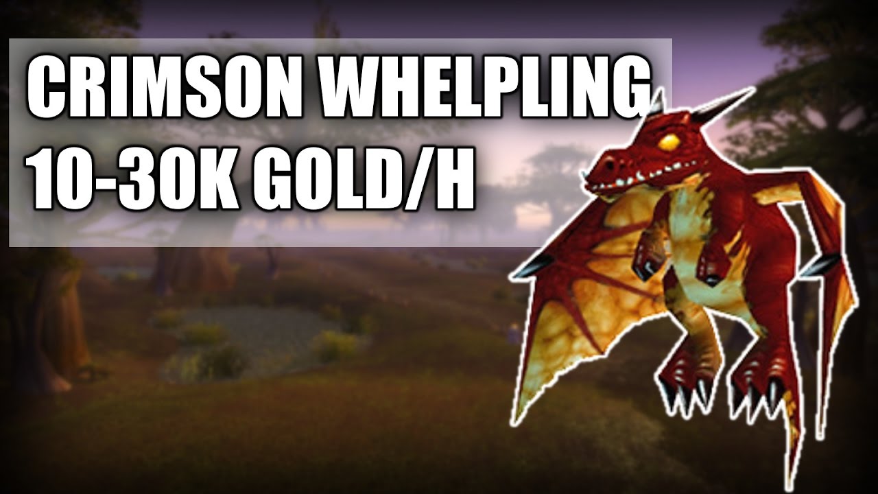 Tiny Crimson Whelpling - kolejna świetna farma peta + transmog (lvl +25 ...