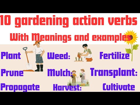 Gardening Action Verb Vocabulary | Garden Vocabulary | IELTS Speaking ...