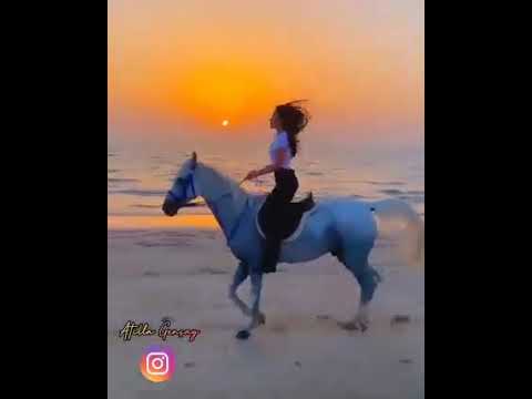 Belle Ciao müziği eşliğinde deniz kıyısı atlar manzara